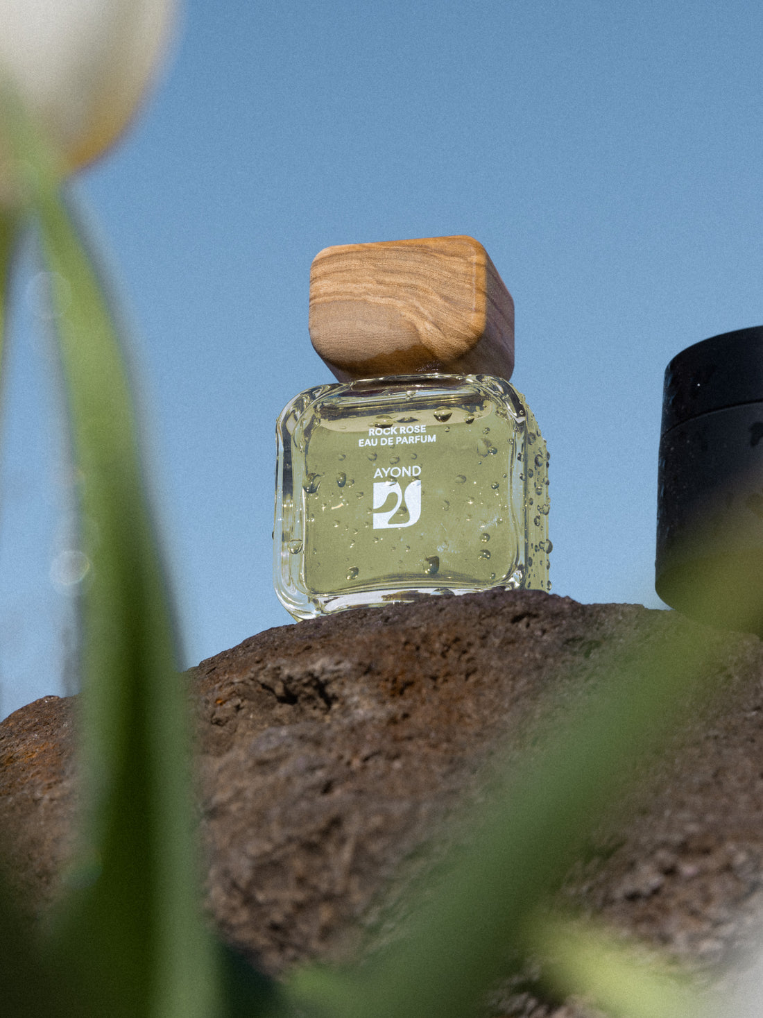 AYOND | Skincare from the High Desert