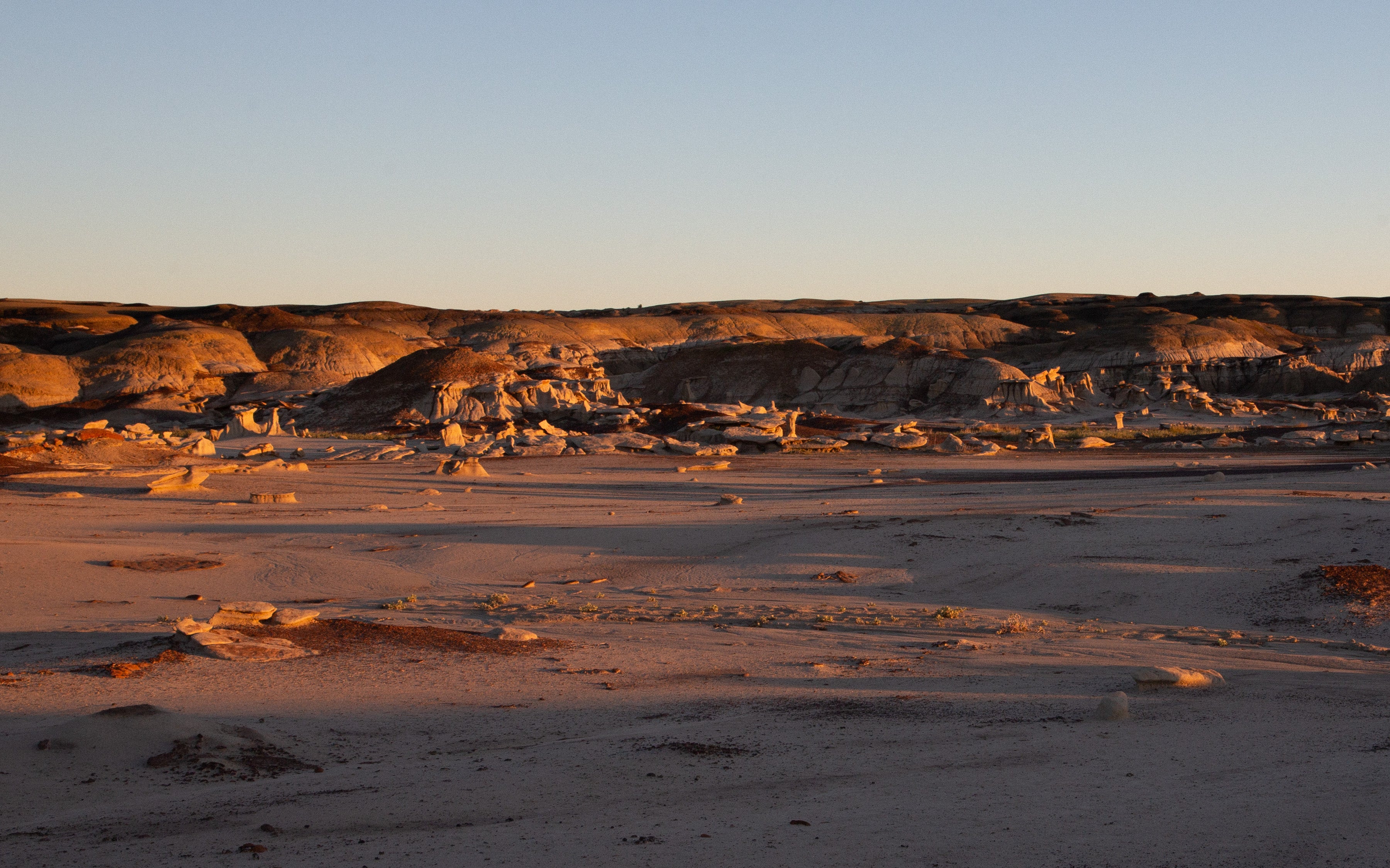 All Products – AYOND