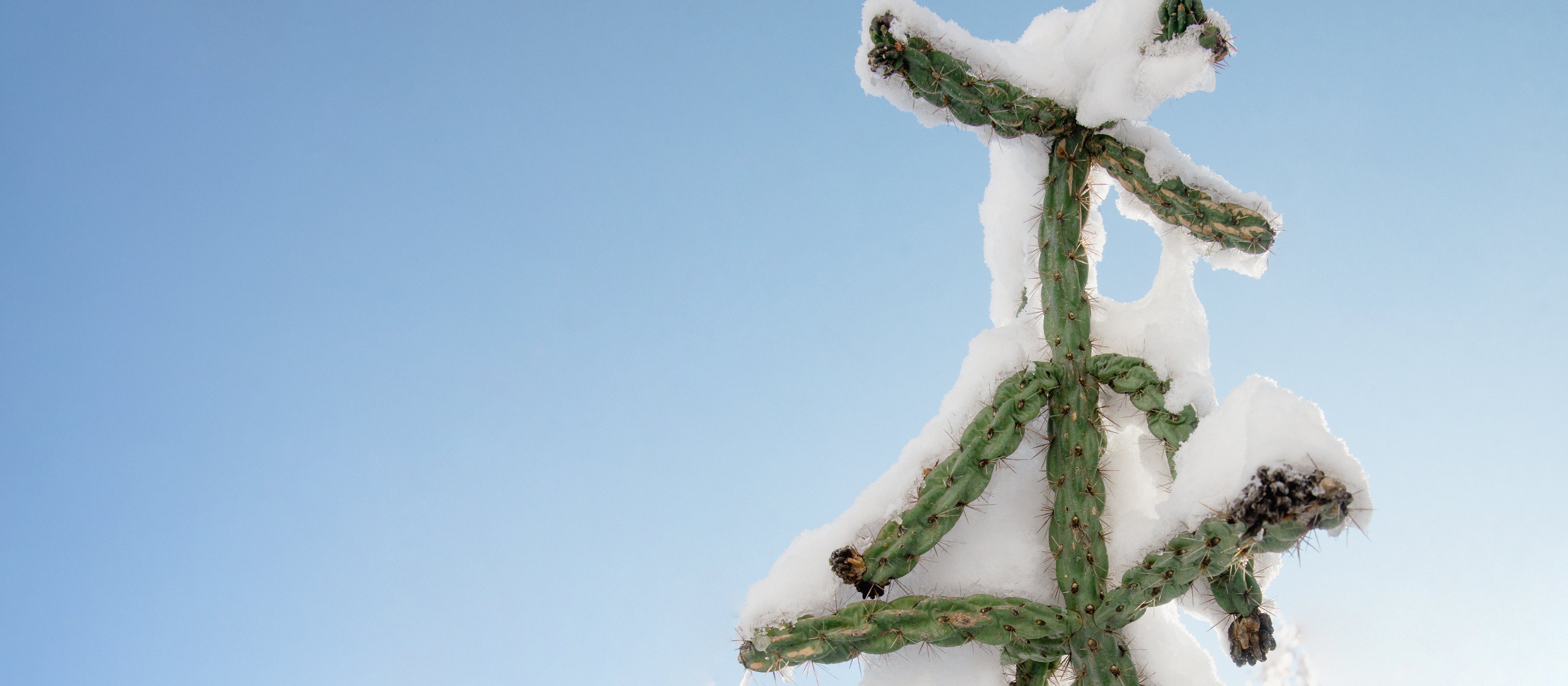 AYOND | Skincare from the High Desert